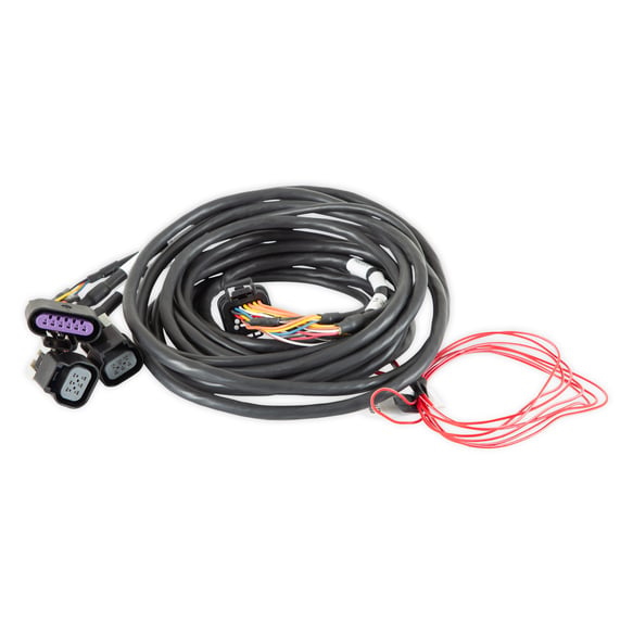 Dominator EFI GM Dual Drive-By-Wire Harness Dominator EFI GM Dual Drive ...